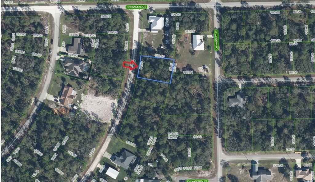947 Cork Tree Rd, Lake Placid, FL 33852 - MLS A4643080 - Coldwell Banker