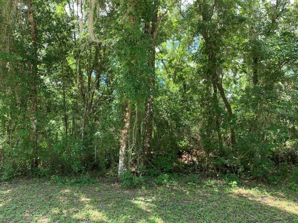 7335 Packingham Dr, Webster, FL 33597 - MLS G5084199 - Coldwell Banker