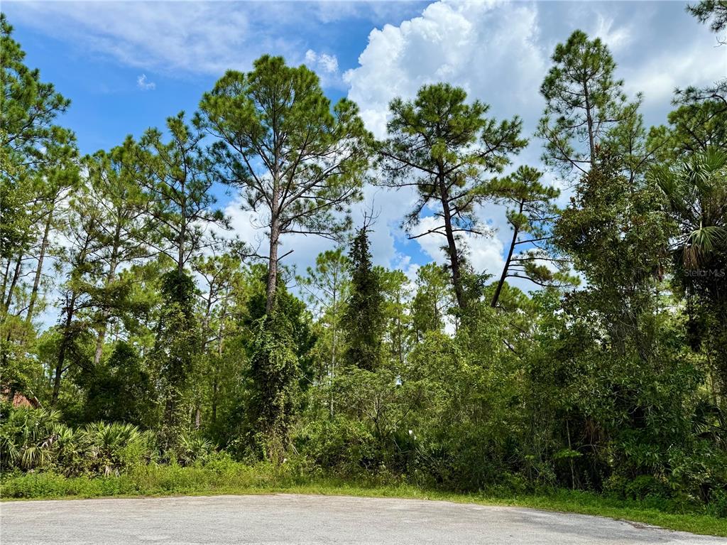 Lot 3 Tamarac St, Eustis, FL 32736 - MLS G5101467 - Coldwell Banker
