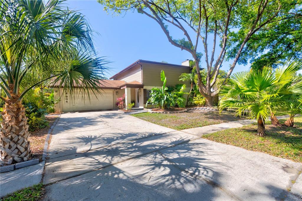 4604 Buckeye Rd, Tampa, FL 33624 - MLS T3453054 - Coldwell Banker