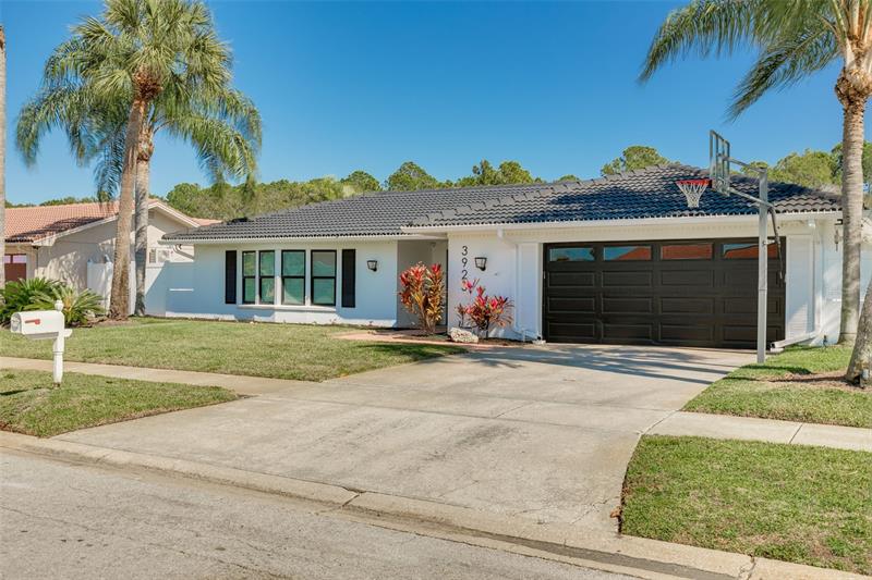 3923 Doral Dr, Tampa, FL 33634 - MLS U8190904 - Coldwell Banker