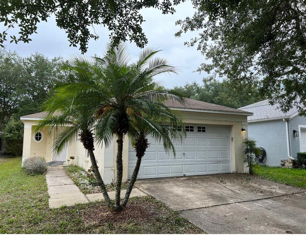 10513 Blackmore Dr, Tampa, FL 33647 - MLS U8199100 - Coldwell Banker