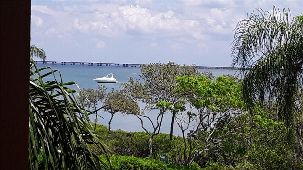 2739 Via Capri #1024, Clearwater, FL 33764 - MLS U8203060 - Coldwell Banker