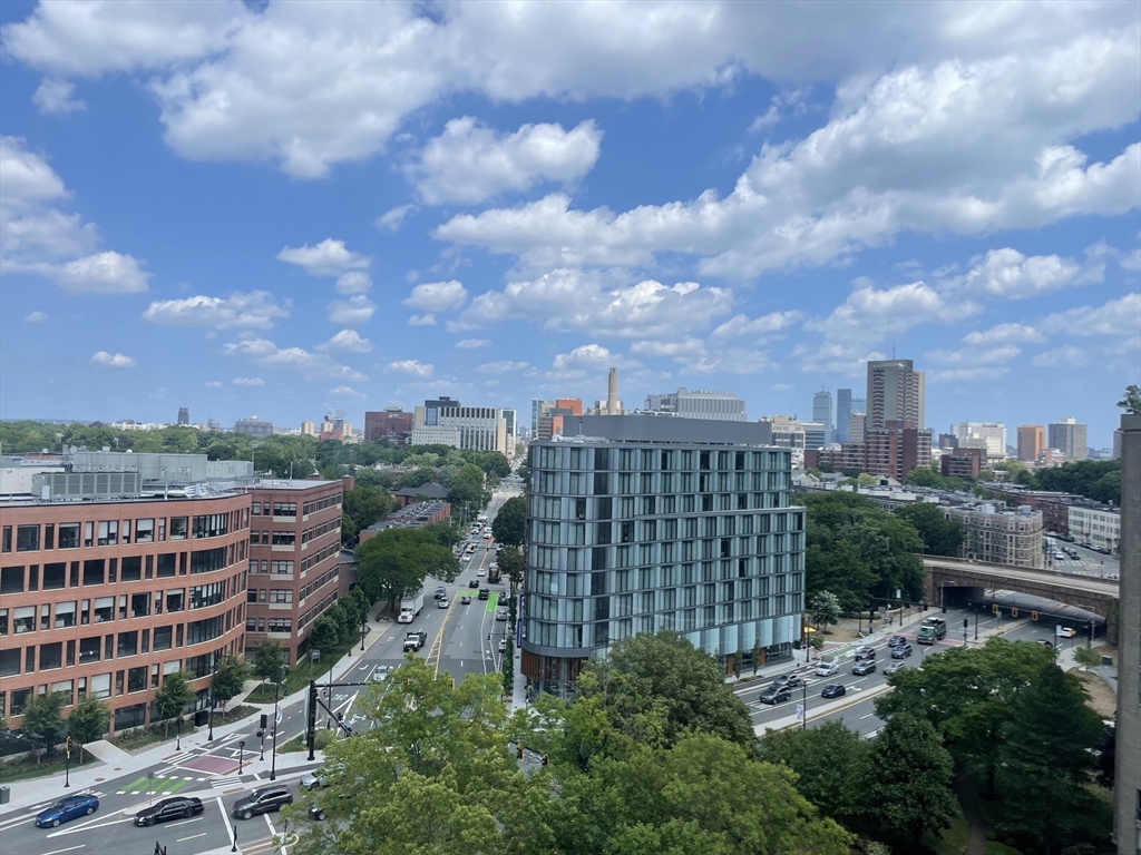 44 Washington St #1203, Brookline, MA 02445 - MLS 73286363 - Coldwell Banker