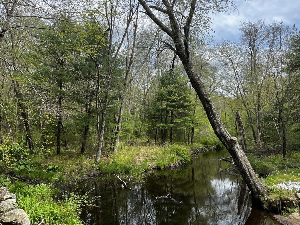 0 Silver St, Monson, MA 01057 - MLS 73072050 - Coldwell Banker