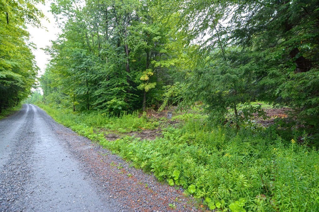 171 Arthur Pease Rd, Middlefield, MA 01243 - MLS 73149309 - Coldwell Banker