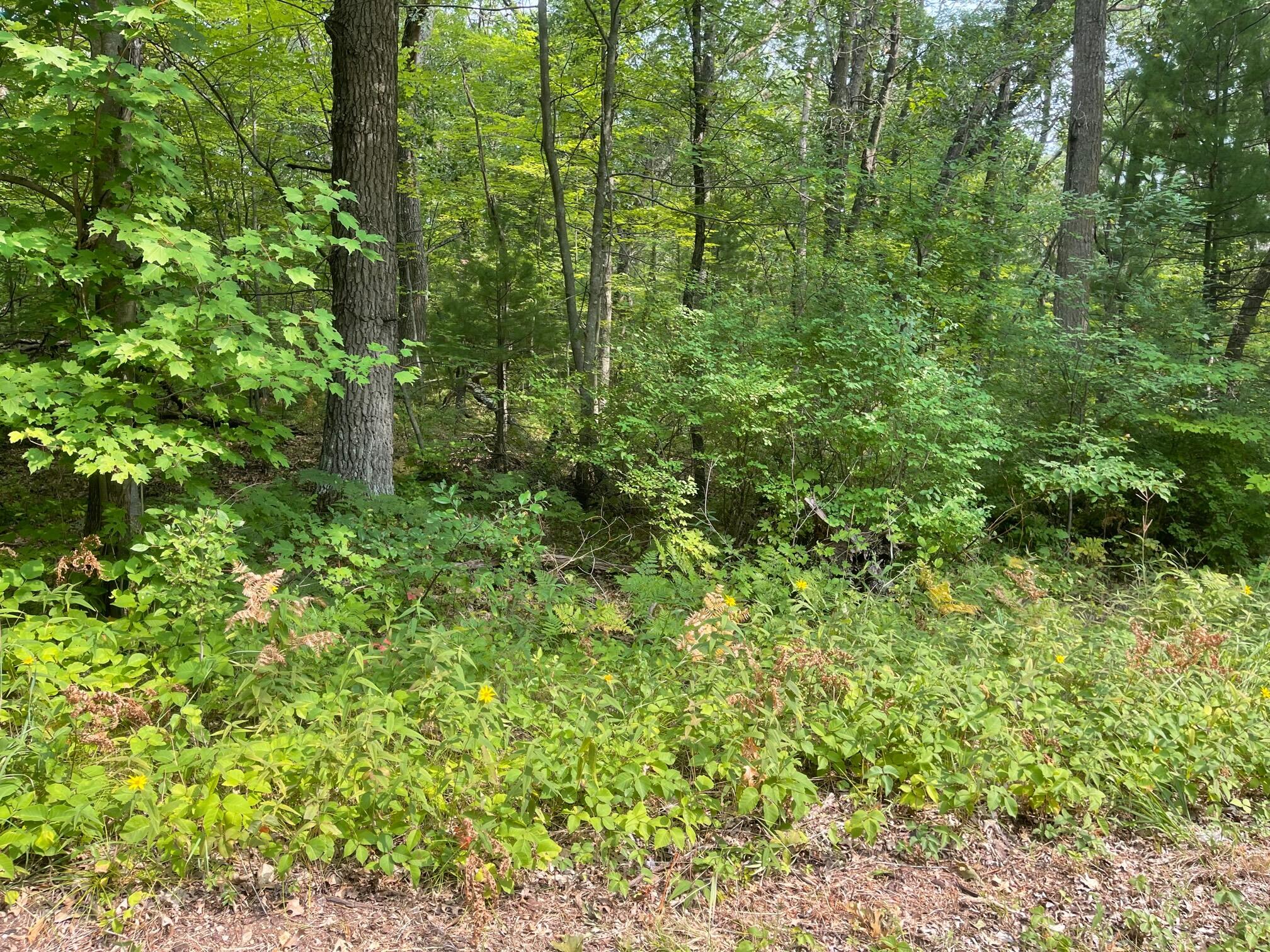 Lt0 Lake Dr, Washington, WI 54166 - MLS 1847118 - Coldwell Banker