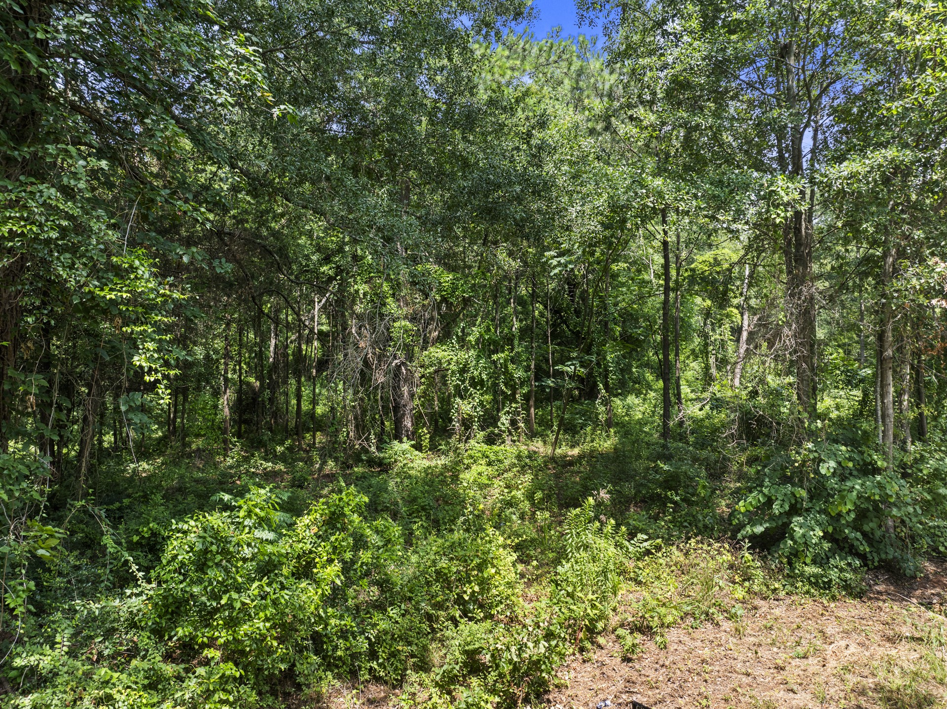 403 N Willis St, Daingerfield, TX 75638 - MLS 20662000 - Coldwell Banker