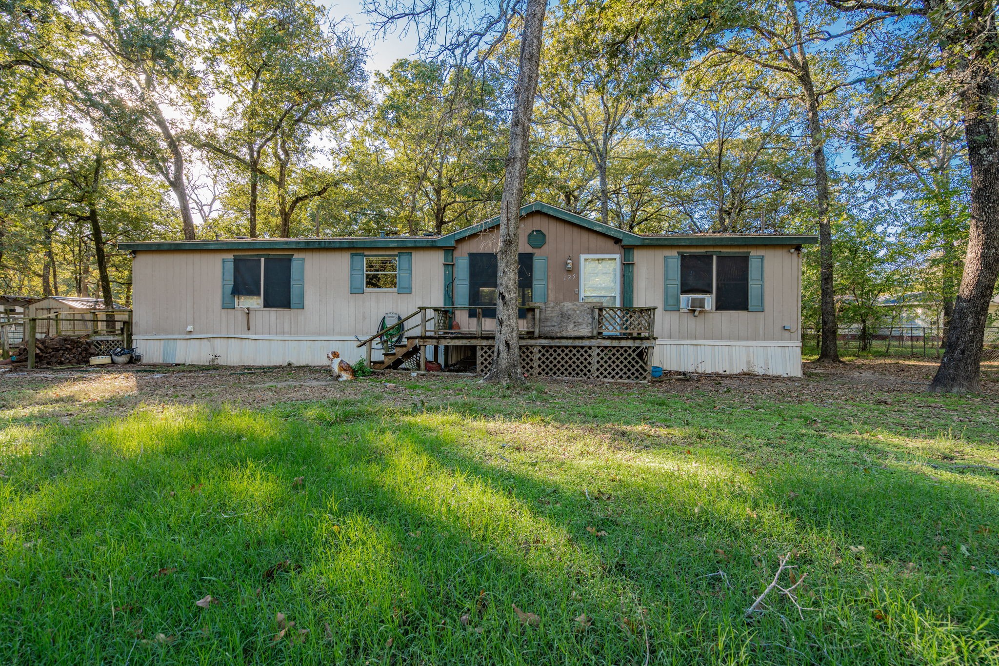 125 Natchez Trail, Mabank, TX 75156 - MLS 20784594 - Coldwell Banker