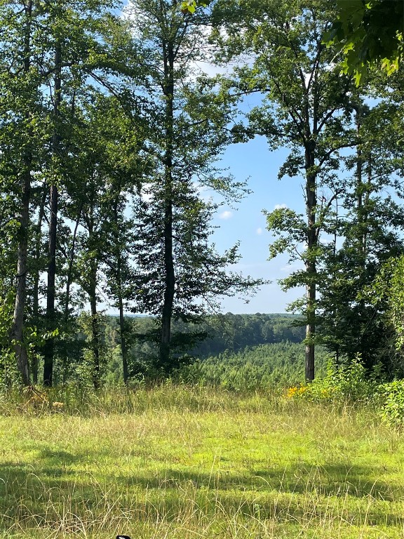 140 Fire Tower Rd, Plain Dealing, LA 71064 - MLS 20364137 - Coldwell Banker