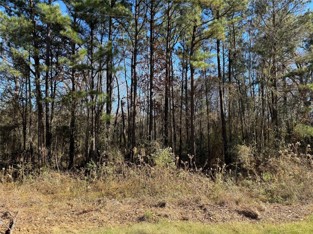 000 Pine Hill Rd, Elm Grove, LA 71051 - MLS 20499471 - Coldwell Banker