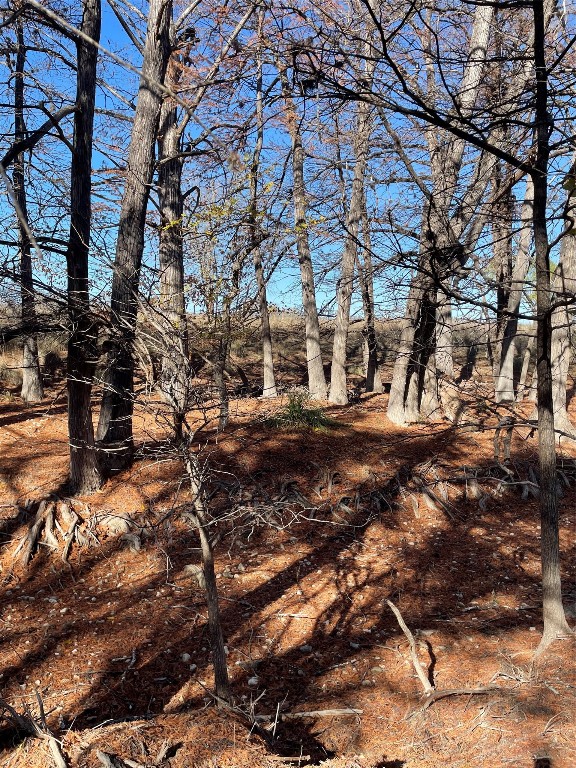 0 Fm 473 Rd, Boerne, TX 78006 - MLS 20539679 - Coldwell Banker