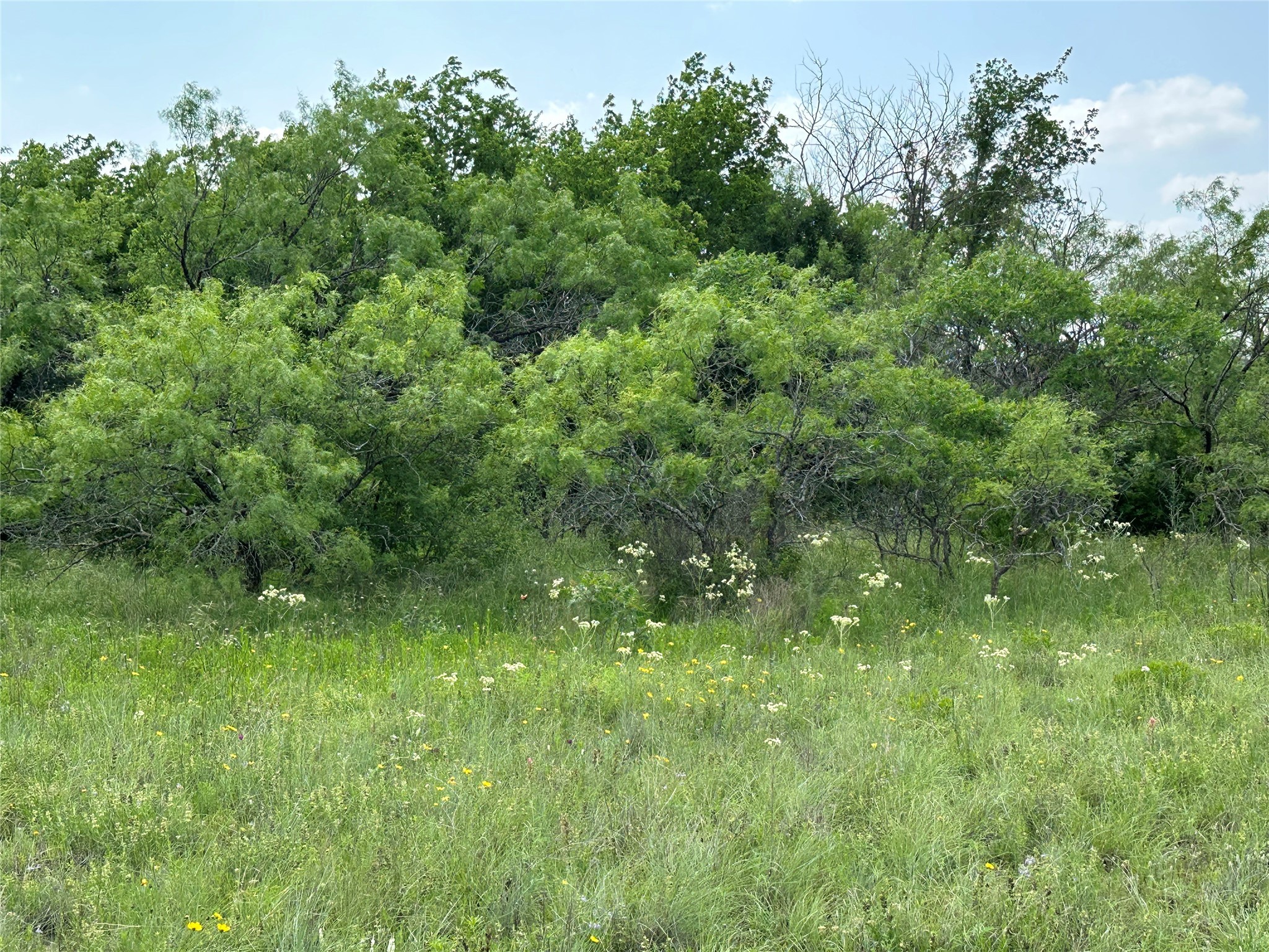 Tbd Fm 932, Hamilton, TX 76531 - MLS 20616492 - Coldwell Banker