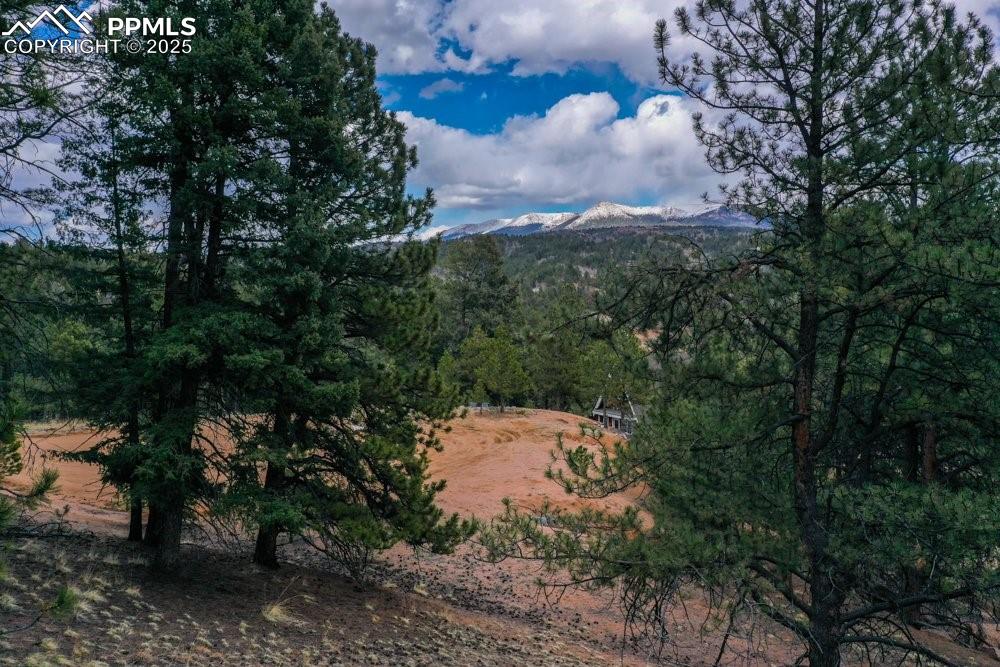 102 Blue Bell Cir, Cripple Creek, CO 80813 - MLS 8991538 - Coldwell Banker