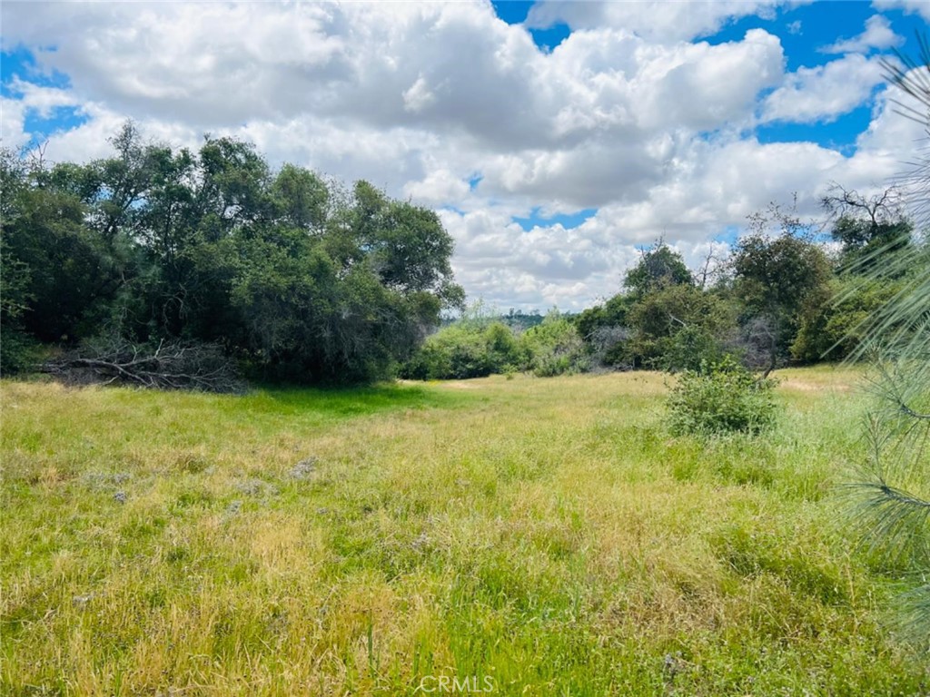 0 0 Flying O Ranch Rd, O'Neals, CA 93645 - MLS FR25111457 - Coldwell Banker