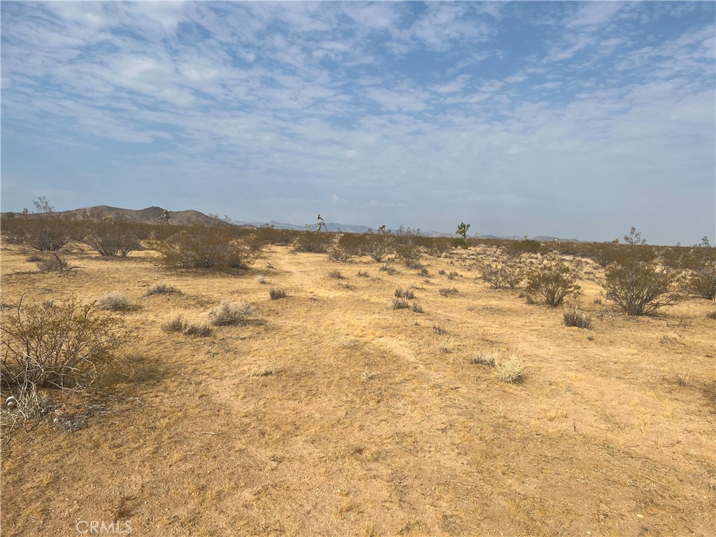 338 Stable Rd, Landers, CA 92285 - MLS IV24221473 - Coldwell Banker