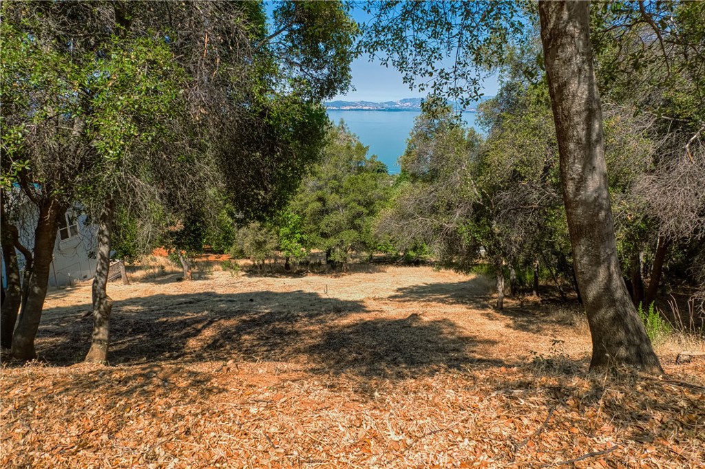 3167 Skyline Dr, Kelseyville, CA 95451 - MLS LC25112196 - Coldwell Banker