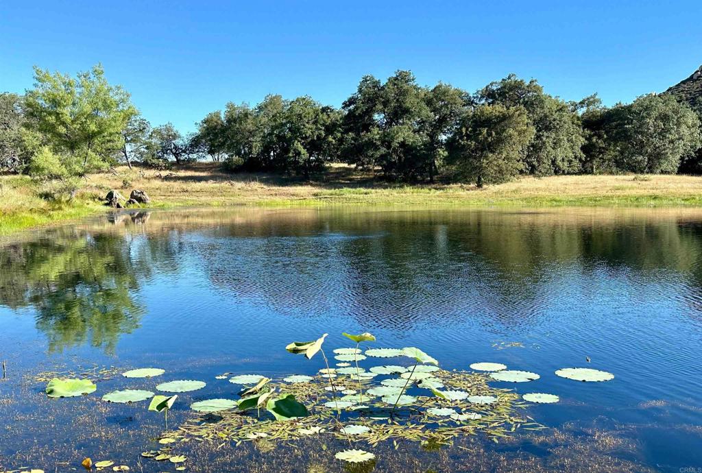 25258 Black Canyon Rd, Santa Ysabel, CA 92070 - MLS NDP2511200 ...