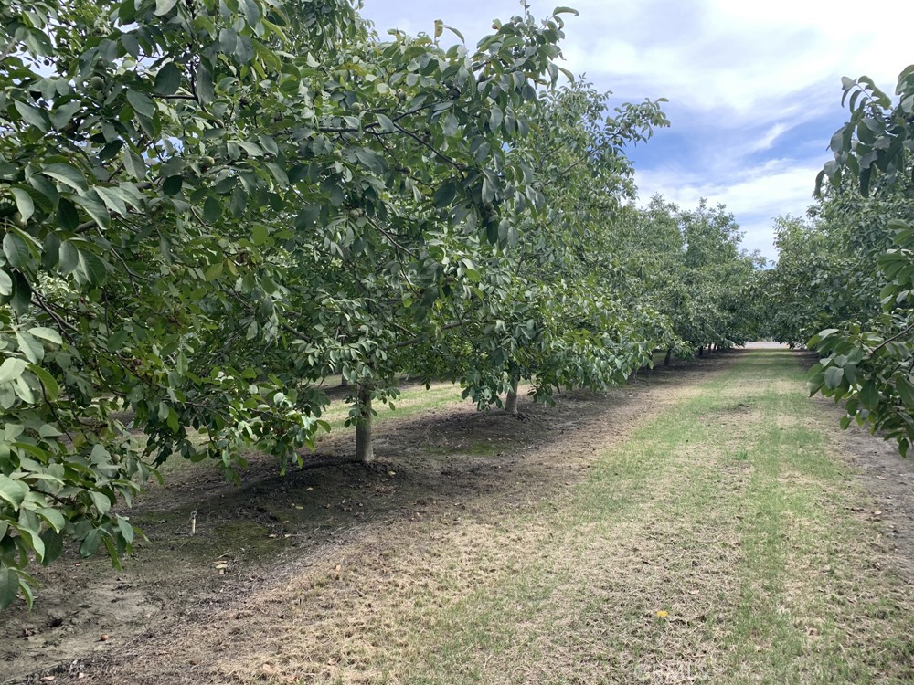 5900 Olive Rd, Richfield, CA 96021 - MLS SN24150105 - Coldwell Banker