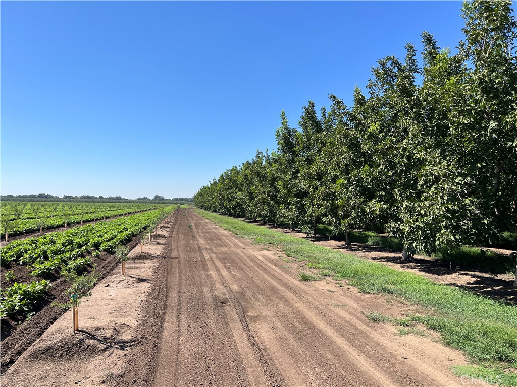 5429 Anita Rd, Nord, CA 95973 - MLS SN24156684 - Coldwell Banker