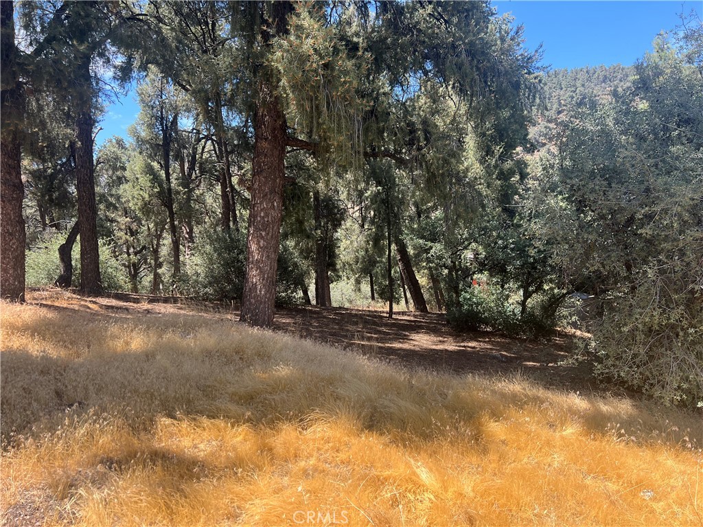 2721 Bryce Ct, Pine Mountain Club, CA 93225 - MLS SR24169484 - Coldwell ...