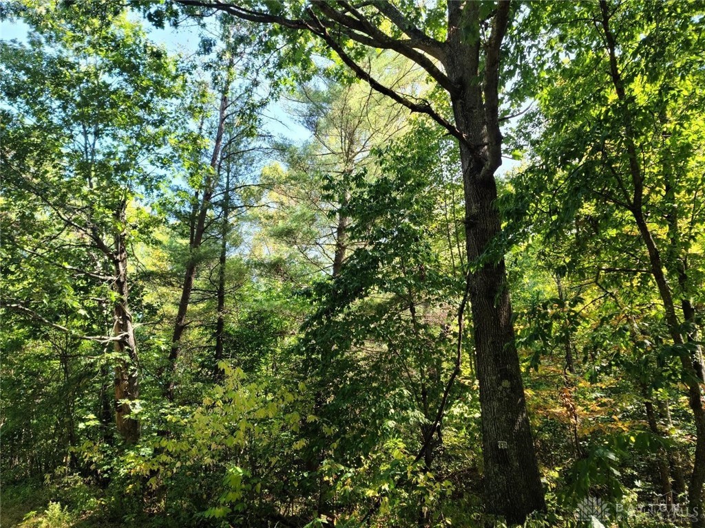 0 Apple Grove Dorcas Rd, Racine, OH 45771 - MLS 939997 - Coldwell Banker