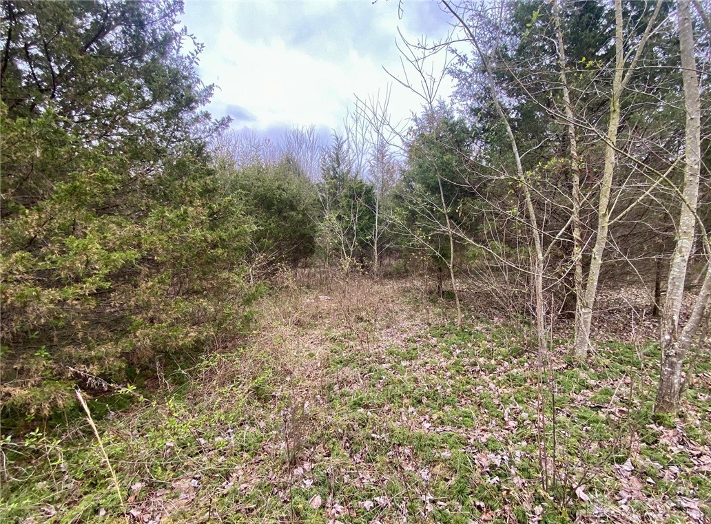 10 6Ac Watson Rd, OH 45130 - MLS 926335 - Coldwell Banker
