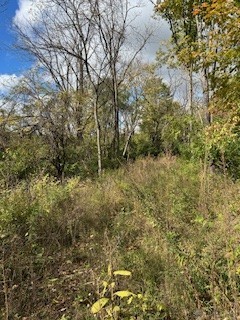 4617 Bath Rd, Bath Twp, OH 45424 - MLS 946518 - Coldwell Banker