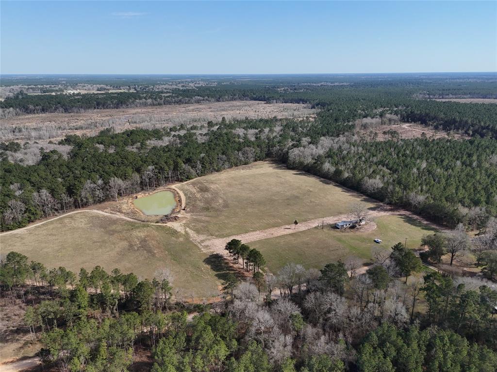 557 Holly Grove Rd, Livingston, TX 77351 - MLS 47286065 - Coldwell Banker