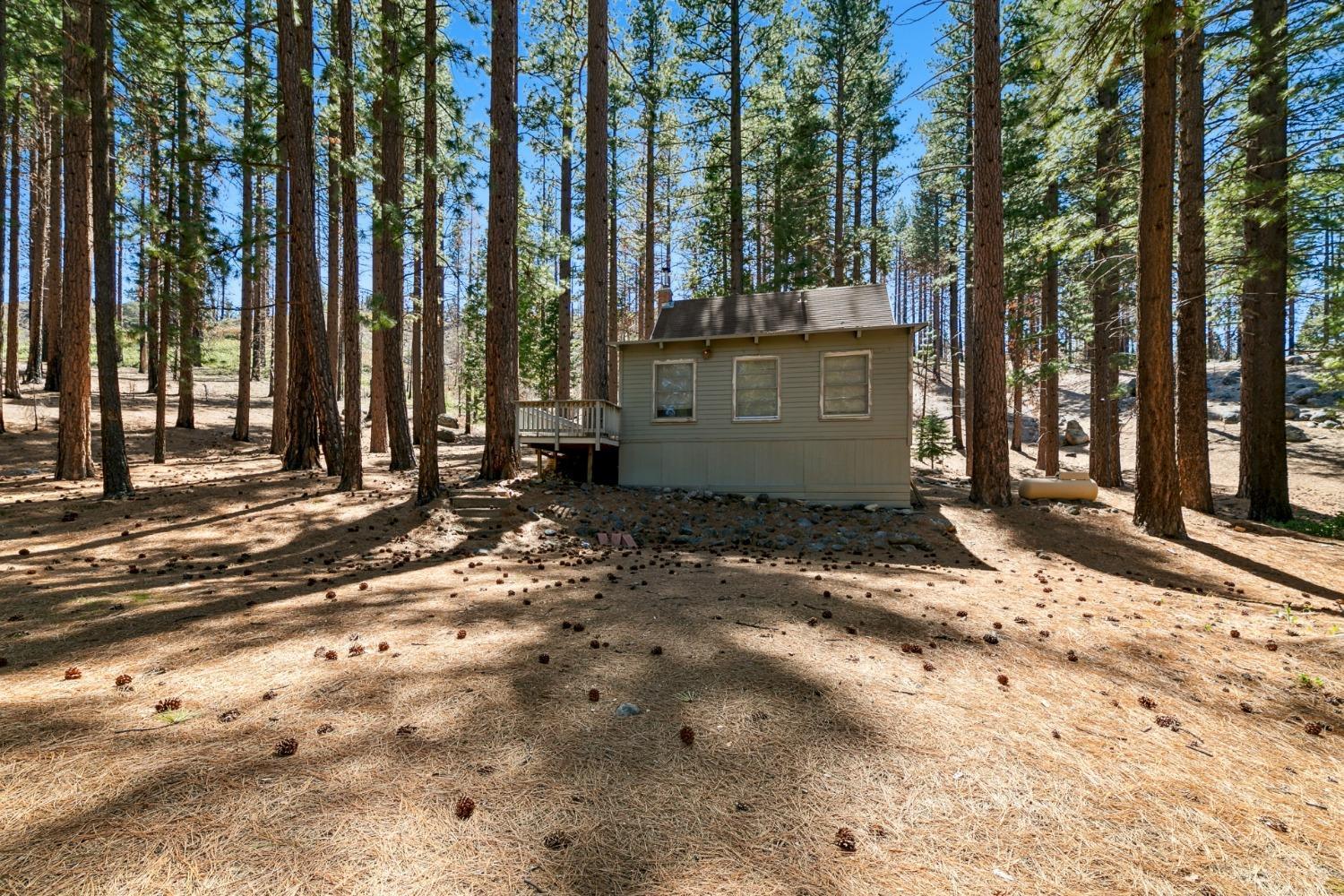 40 Shay Creek Rd, Markleeville, CA 96120 - MLS 141467 - Coldwell Banker