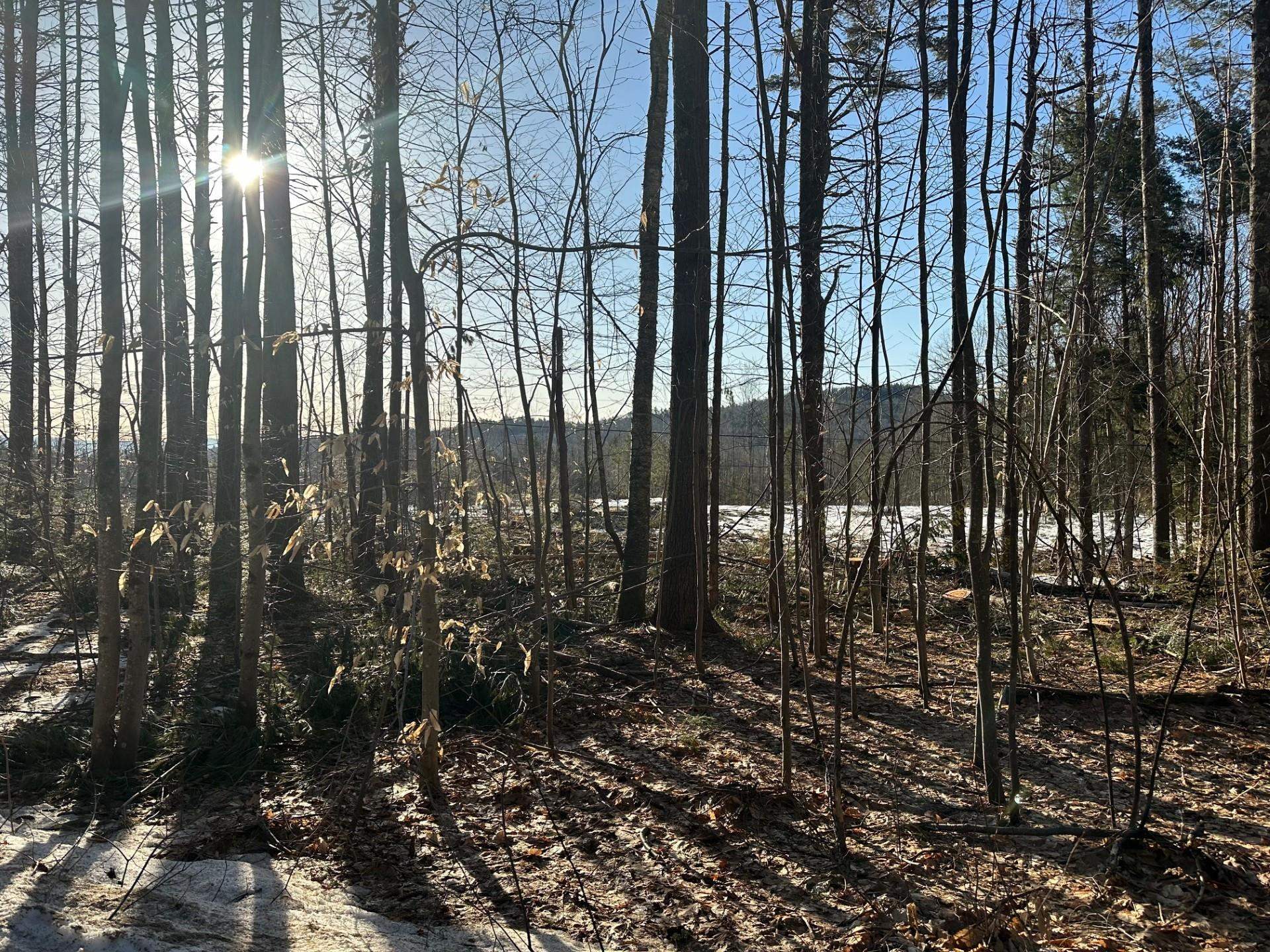 00 Thurley Rd, Ossipee, NH 03814 - MLS 5032710 - Coldwell Banker