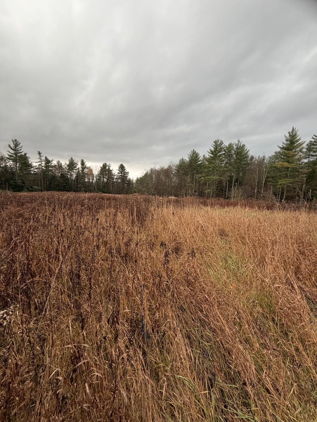 334 N Cambridge Rd, Cambridge, VT 05444 - MLS 5059832 - Coldwell Banker