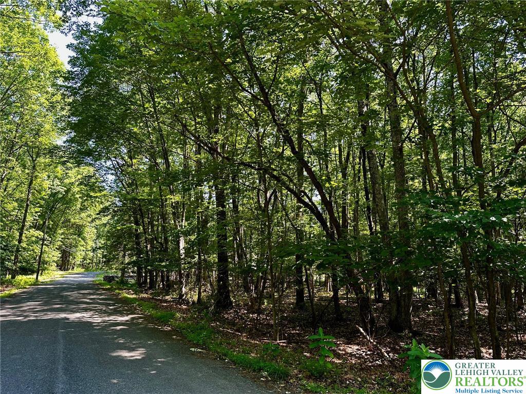 500 Sumac Ct, Polk Twp, PA 18058 - MLS 765490 - Coldwell Banker