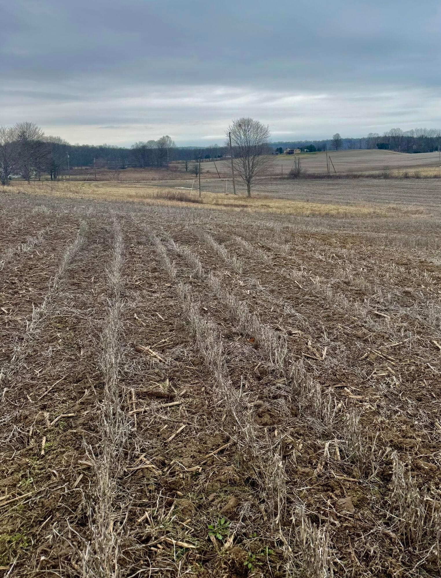 11631 Rankin Rd, Mount Perry, OH 43760 - MLS 225003103 - Coldwell Banker