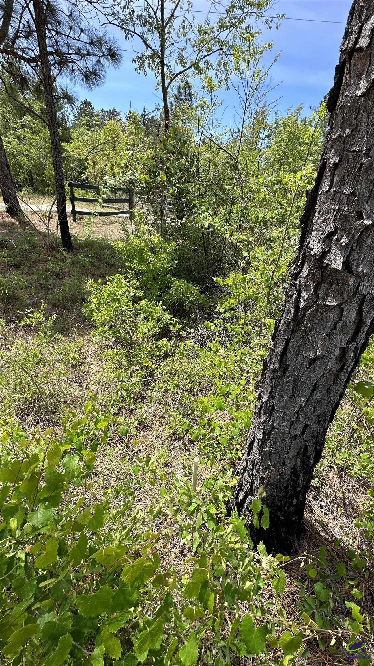 77 Gable Rd, Rupert, GA 31081 - MLS 232448 - Coldwell Banker