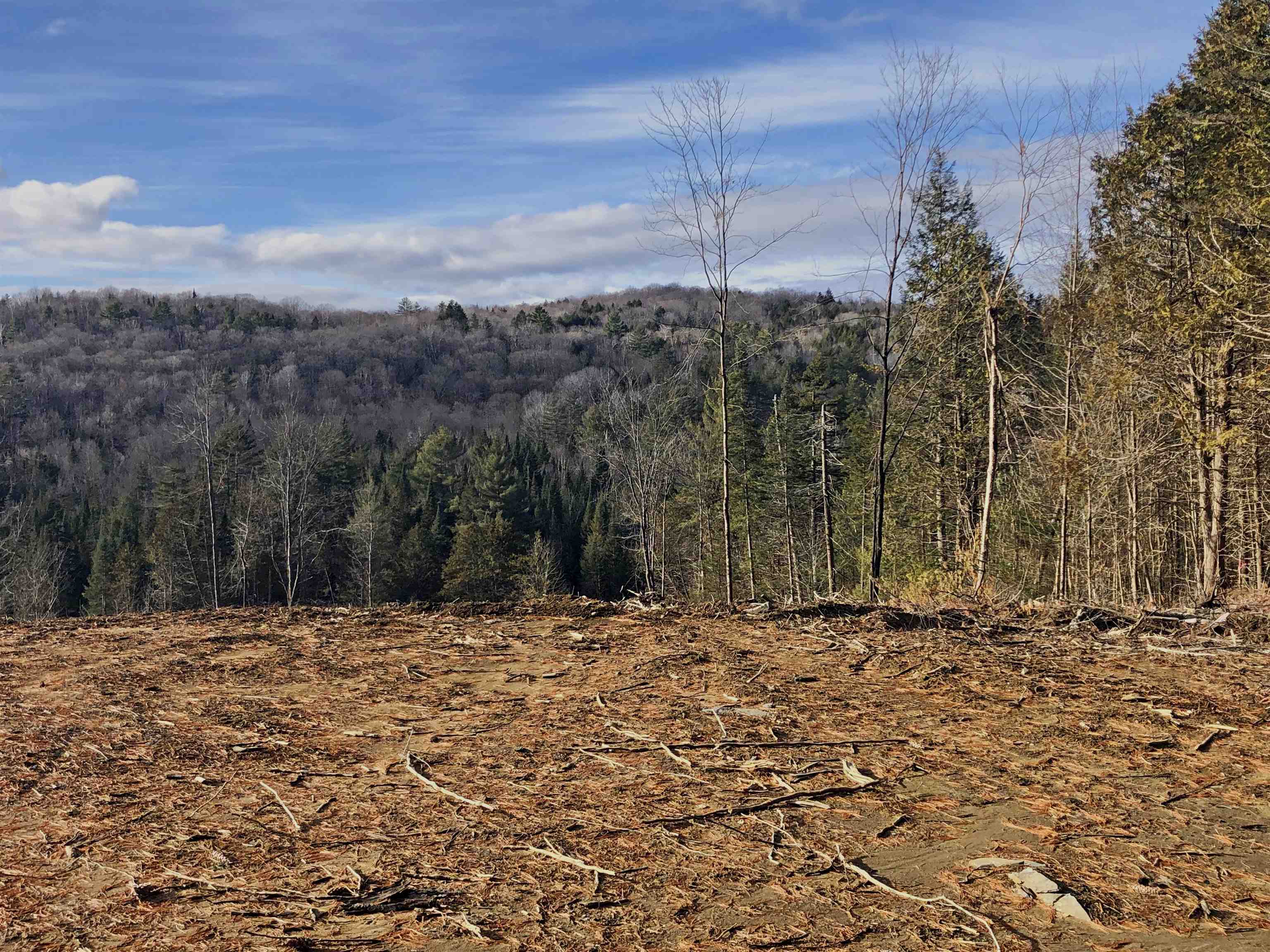 0 Red Village Rd, Lyndon, VT 05851 - MLS 4938637 - Coldwell Banker