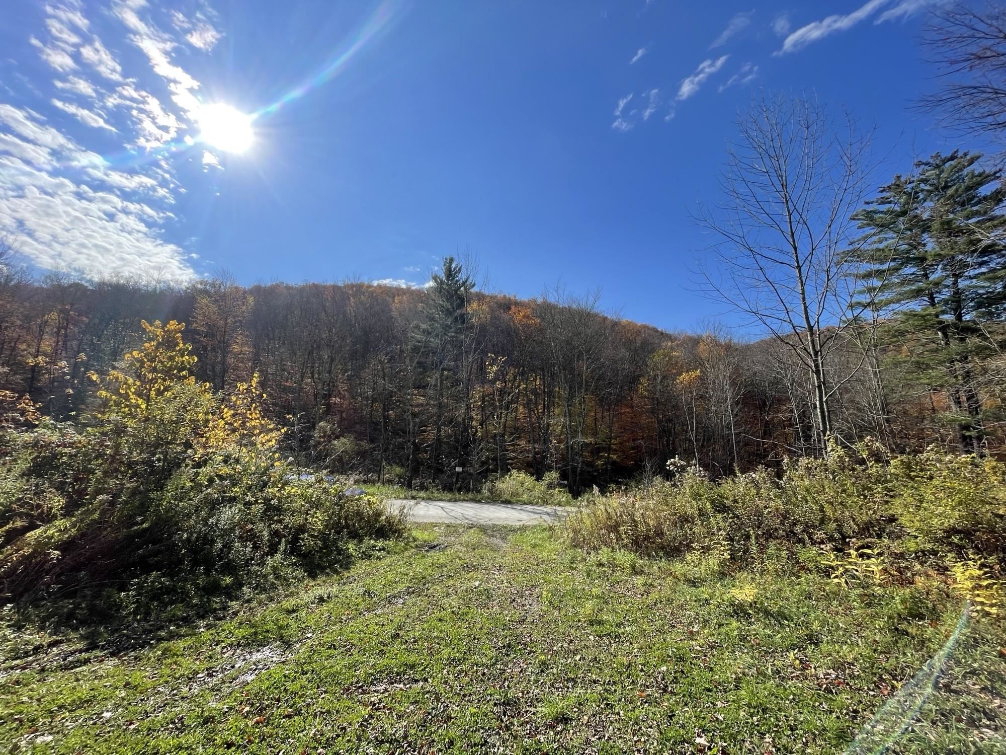 4304 Rupert Rd, Sandgate, VT 05250 - MLS 4944485 - Coldwell Banker