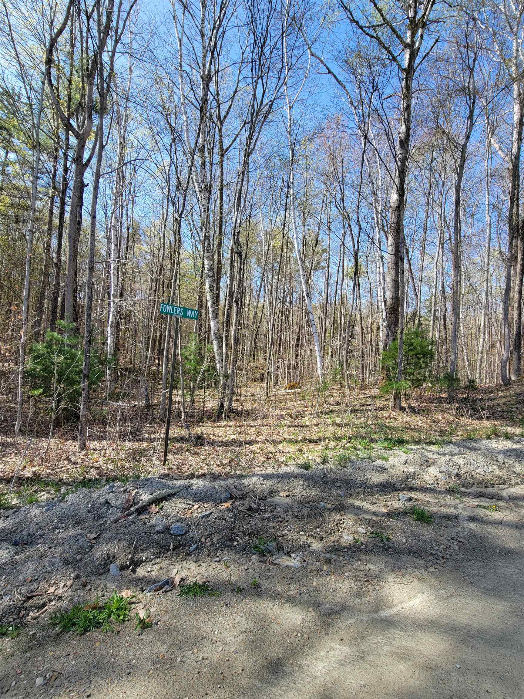 0 Mt Anthony Rd, Pownal, VT 05261 - MLS 4949550 - Coldwell Banker