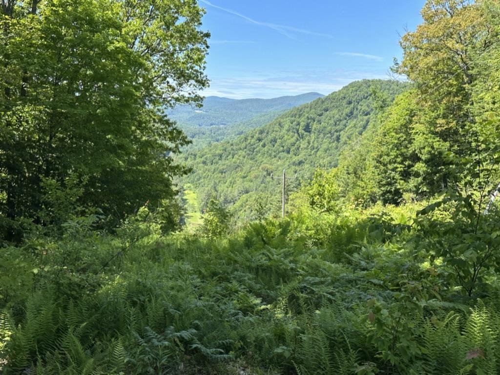 Lot 016 River Rd, Stockbridge, VT 05746 - MLS 4960396 - Coldwell Banker