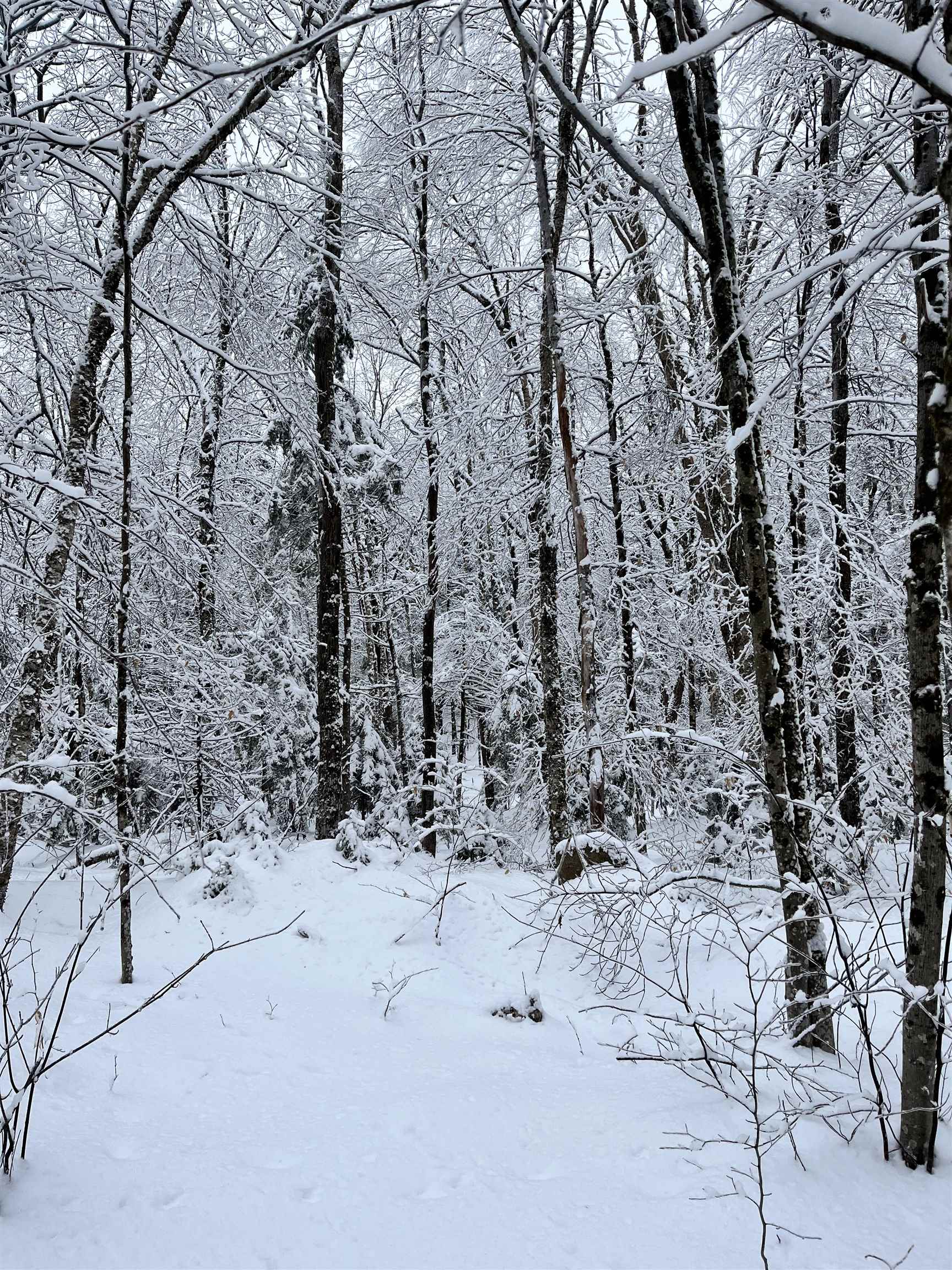 Map 213 Lot 36 Locke Ln, Lempster, NH 03605 - MLS 4984793 - Coldwell Banker