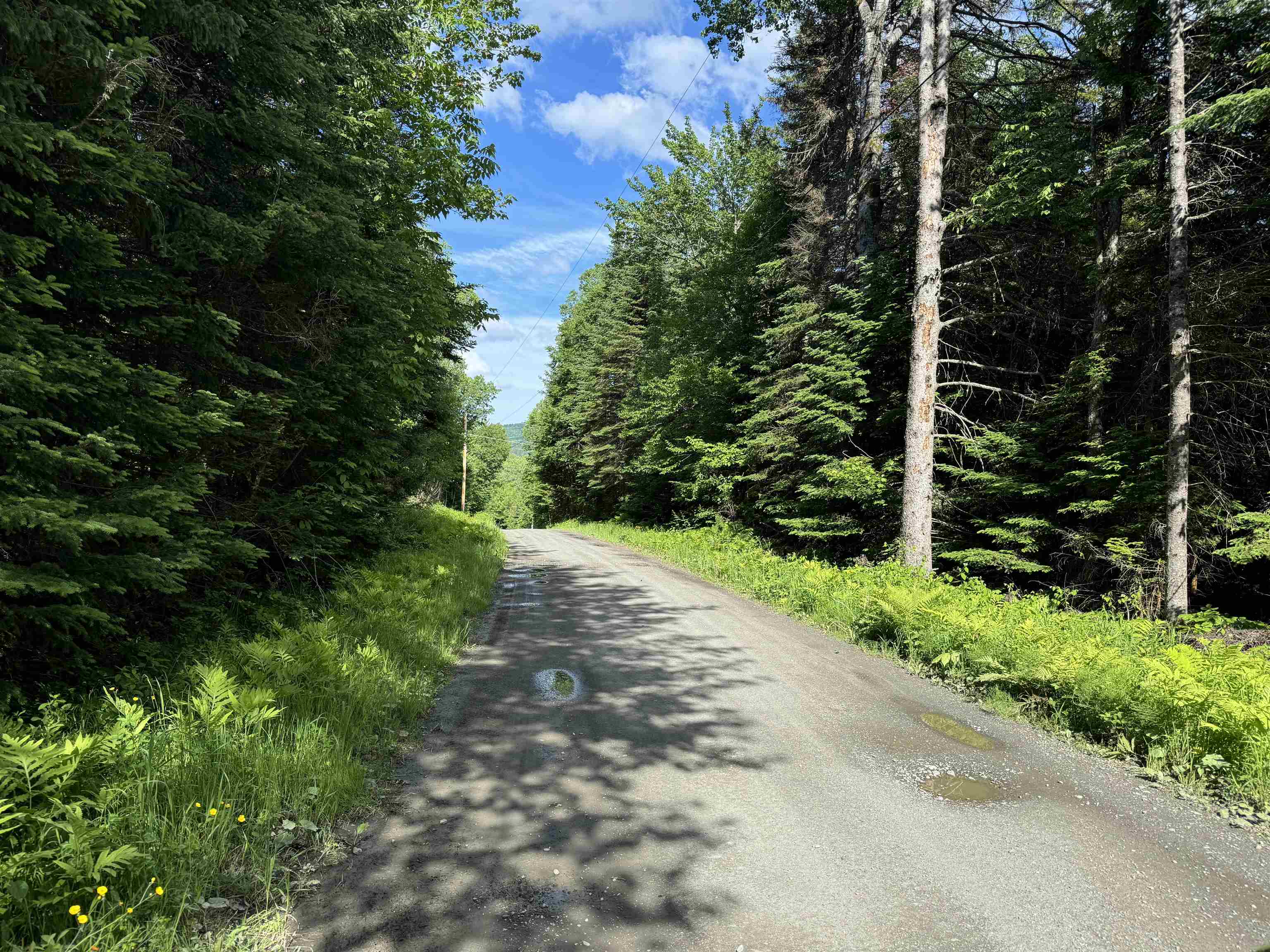 Bungy Rd, Columbia, NH 03576 - MLS 4991867 - Coldwell Banker