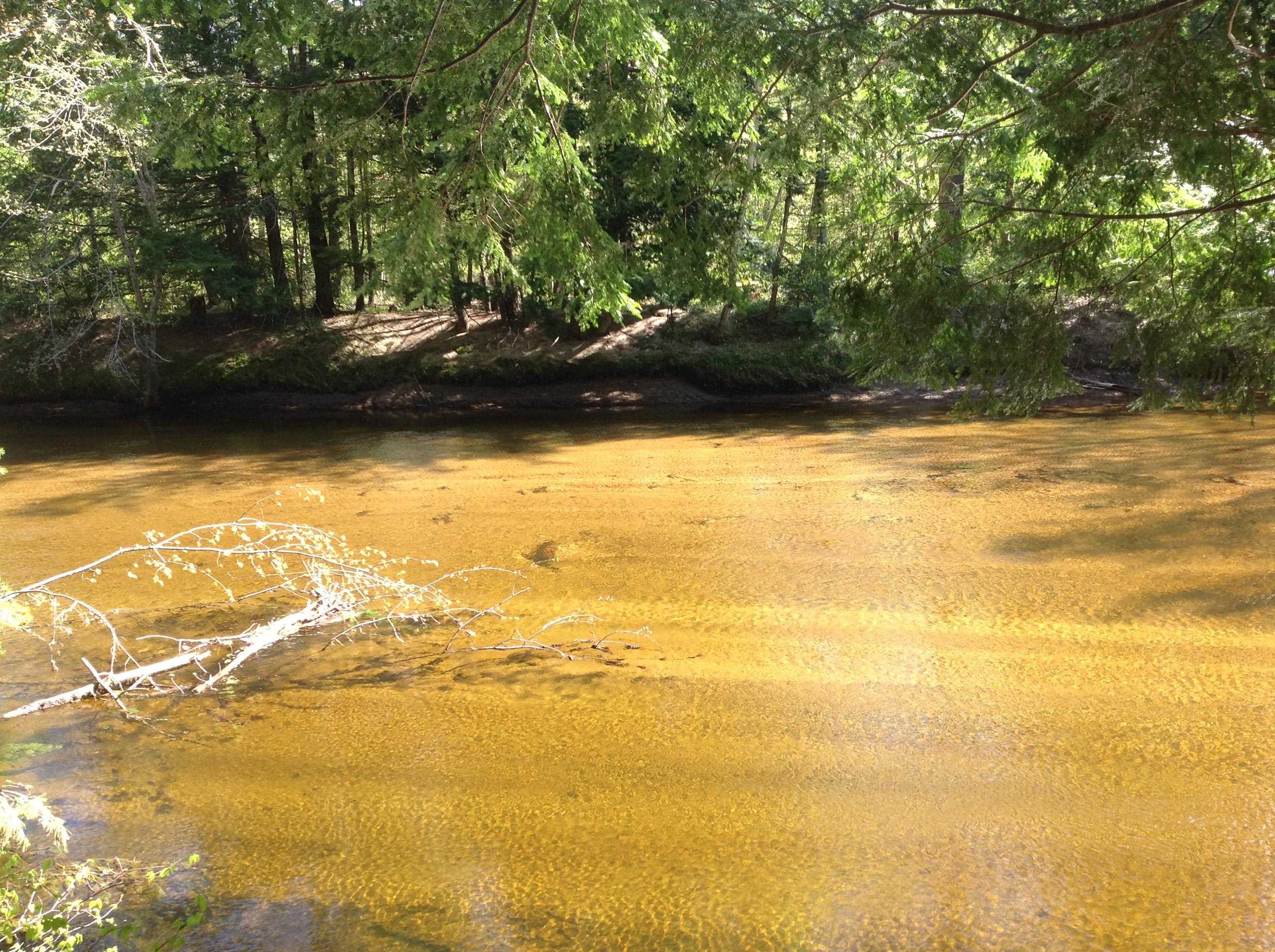 74 & 76 Newman Drew Rd, Ossipee, NH 03814 - MLS 4995257 - Coldwell Banker