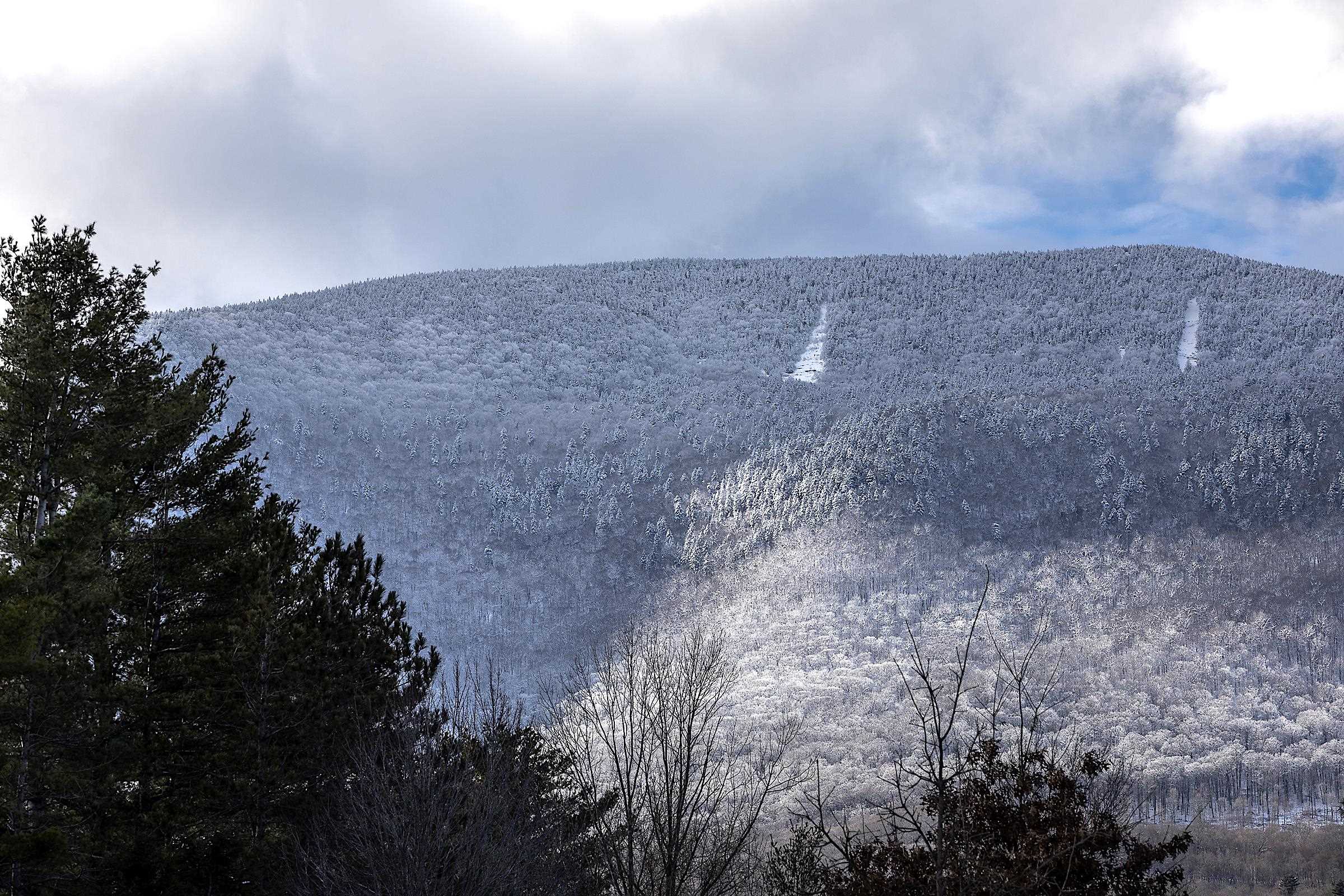 411 Eob Rd #H2, Manchester, VT 05254 - MLS 5023497 - Coldwell Banker