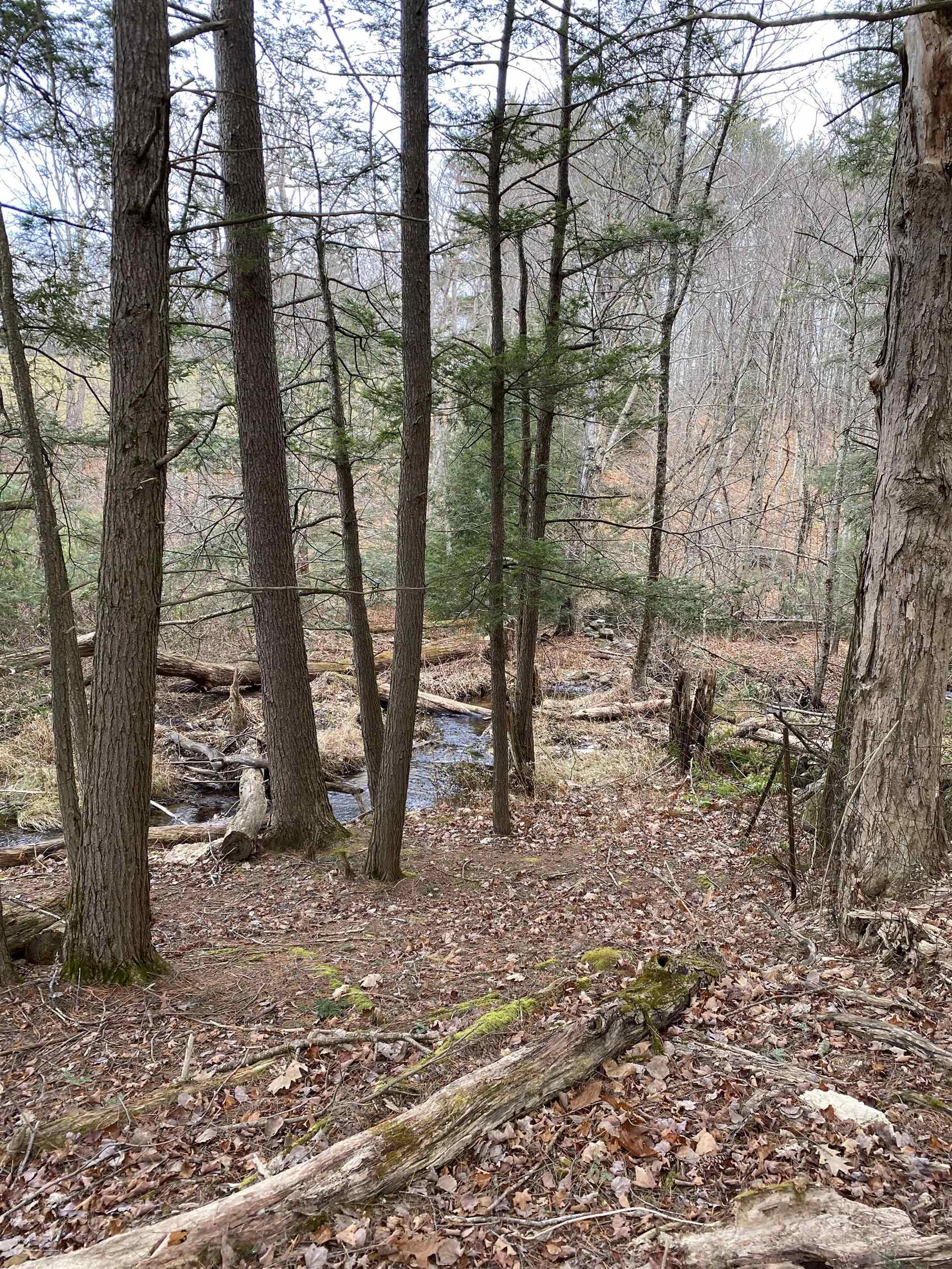 0 Echo Valley Farm Rd, Epsom, NH 03234 - MLS 5023569 - Coldwell Banker