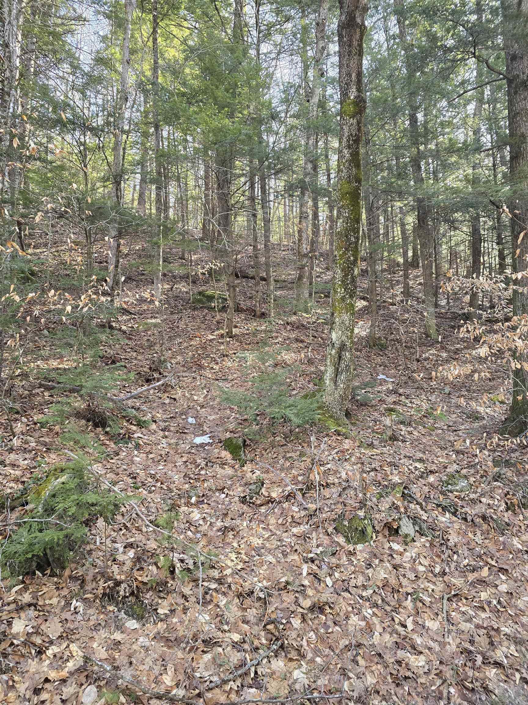 00 Stage Rd, Unity, NH 03603 - MLS 5032747 - Coldwell Banker