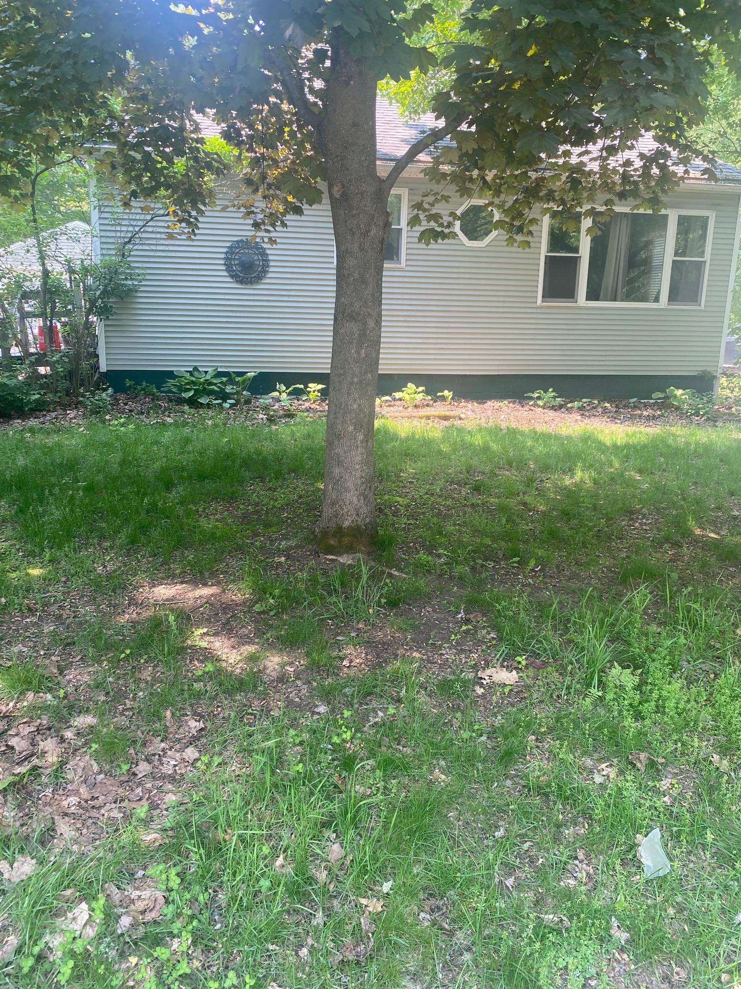 21 Clinton St, South Burlington, VT 05403 - MLS 5044993 - Coldwell Banker