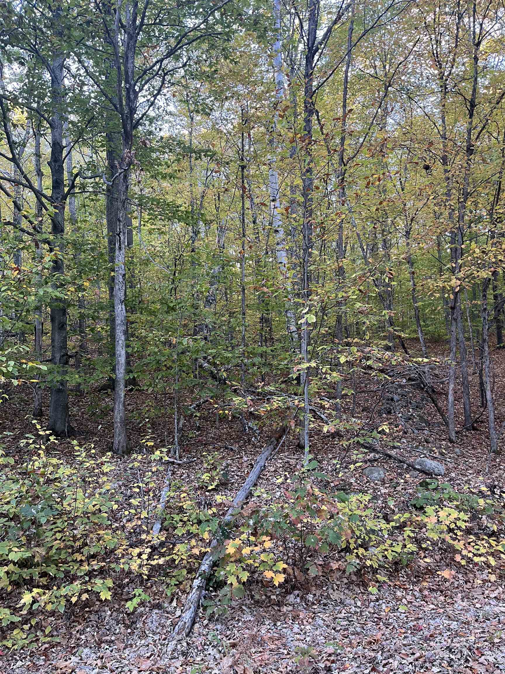 E-15 David Thompson Dr, Campton, NH 03223 - MLS 5065841 - Coldwell Banker