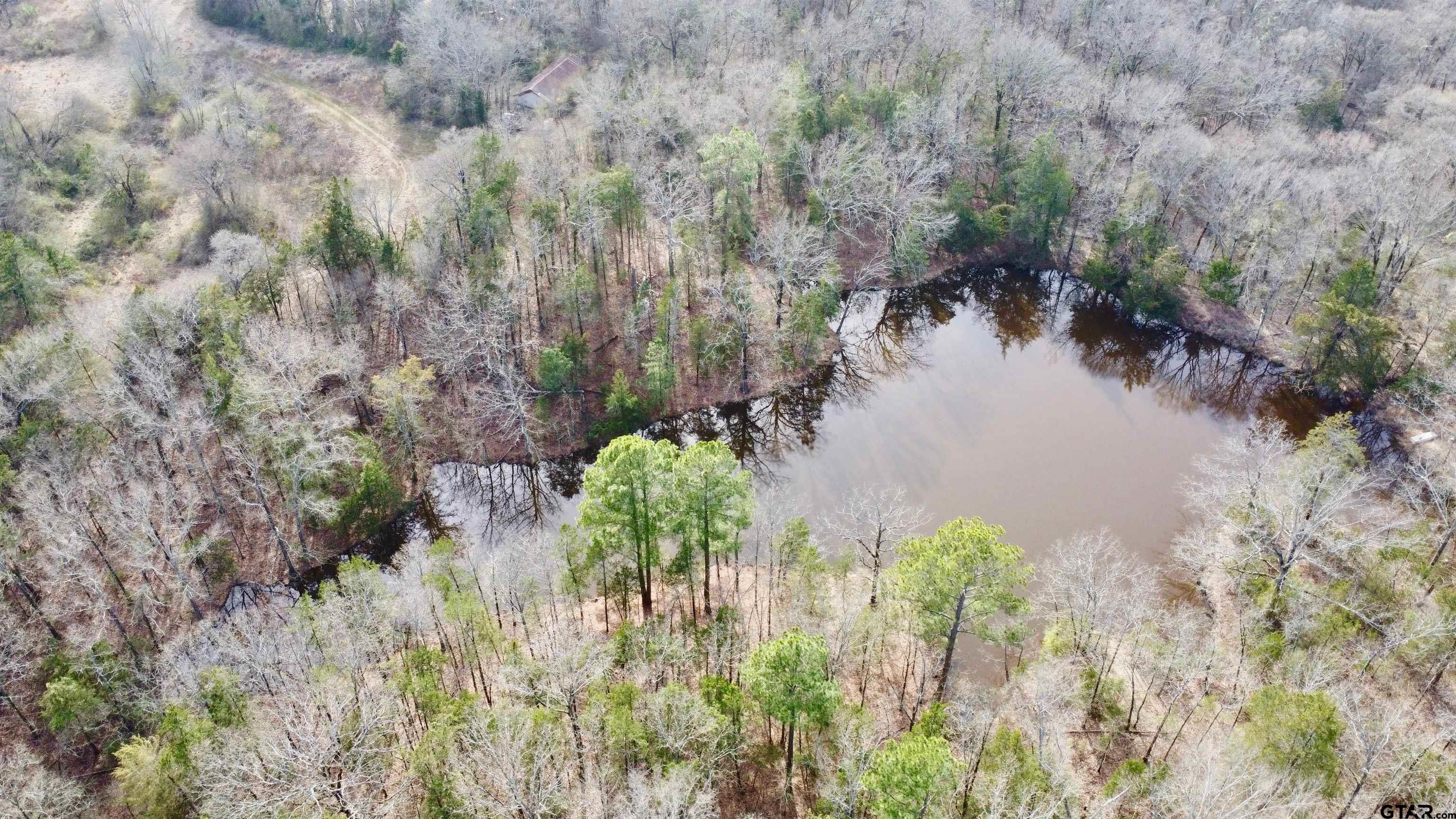 Tbd Mt Moriah Rd, Omaha, TX 75571 - MLS 25005063 - Coldwell Banker