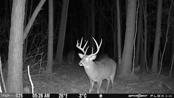 5076 Back Shelltown Rd, Marion Station, MD 21838 - MLS MDSO2005926 ...