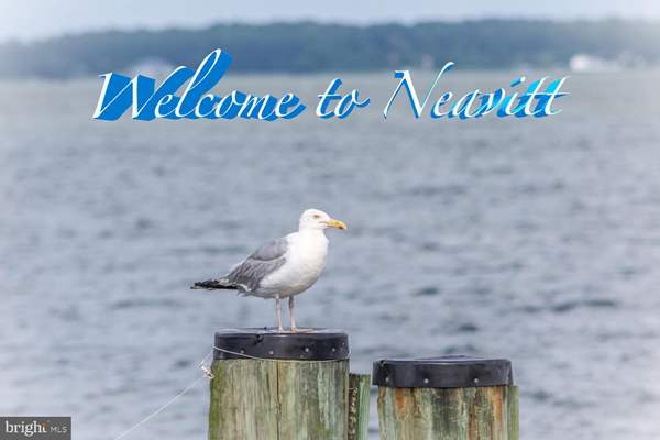 Neavitt, MD Homes For Sale & Real Estate